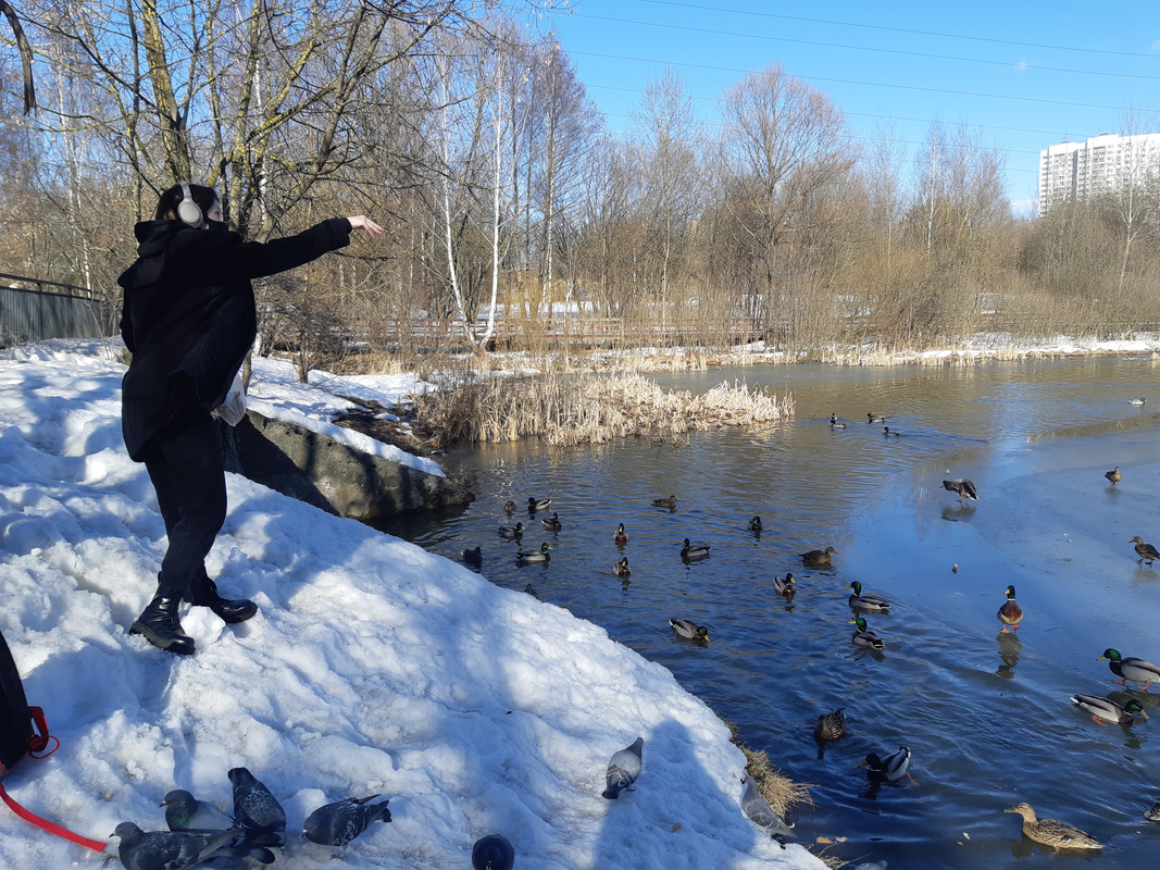 20220315 143244 — Postimages