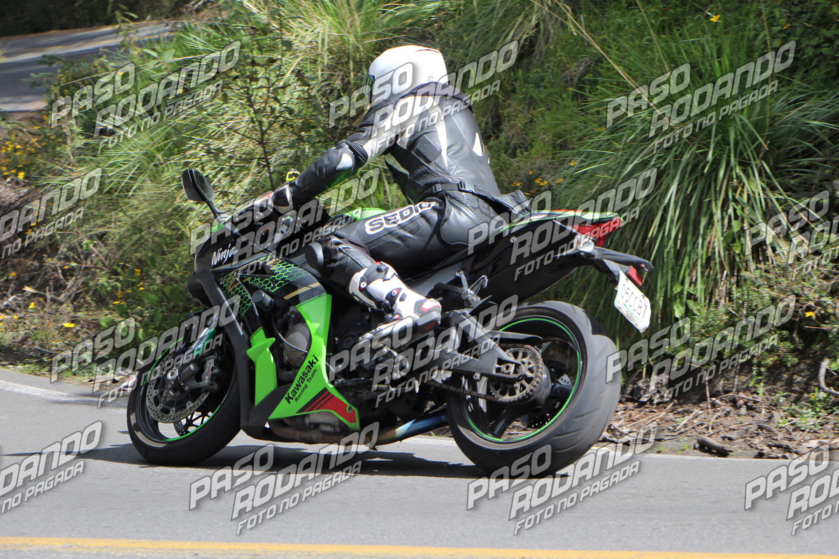 IMG 4038 wm 77708 watermarked — Postimages