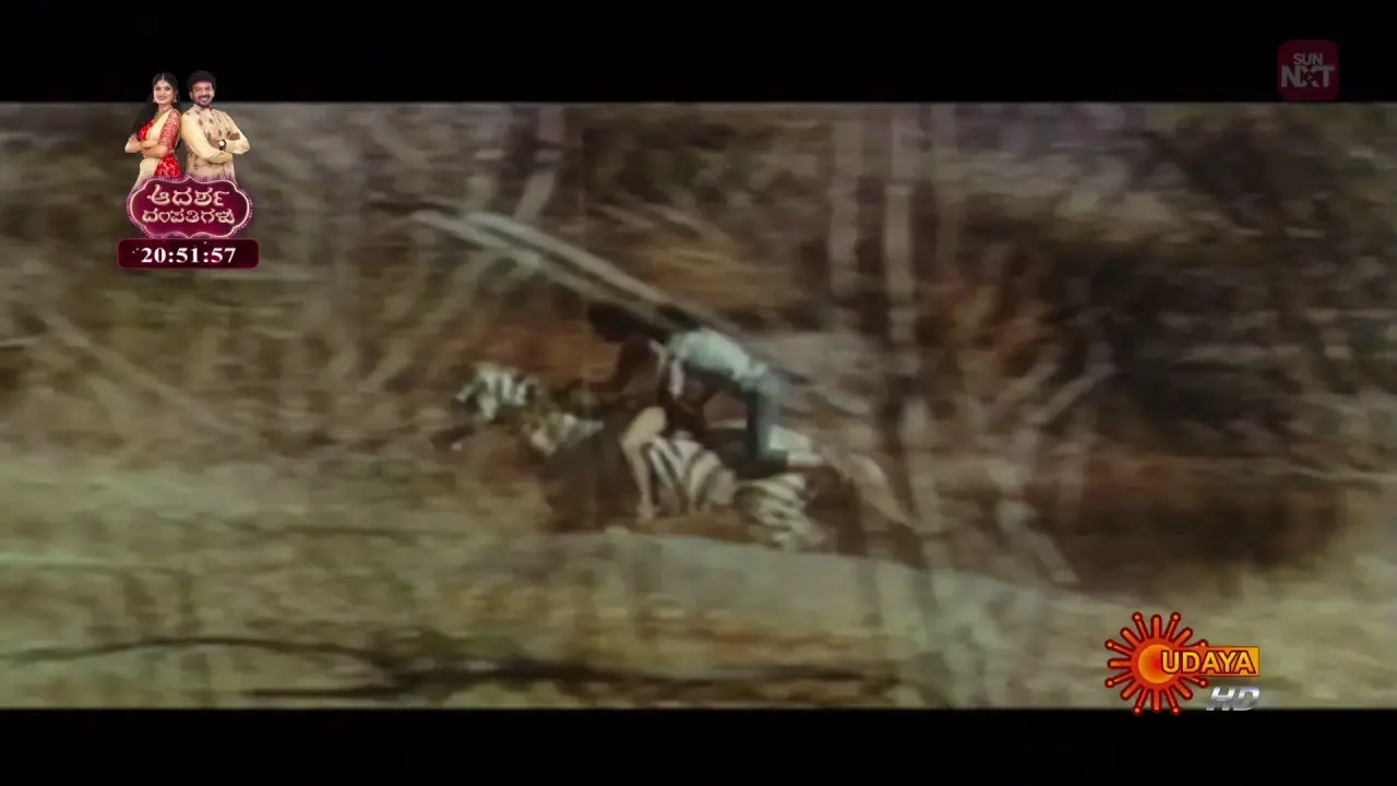 f 29 (3) — Postimages