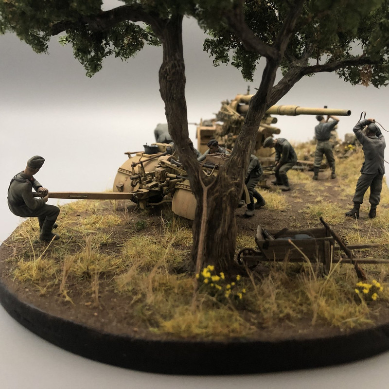 IMG 5340 — Postimages