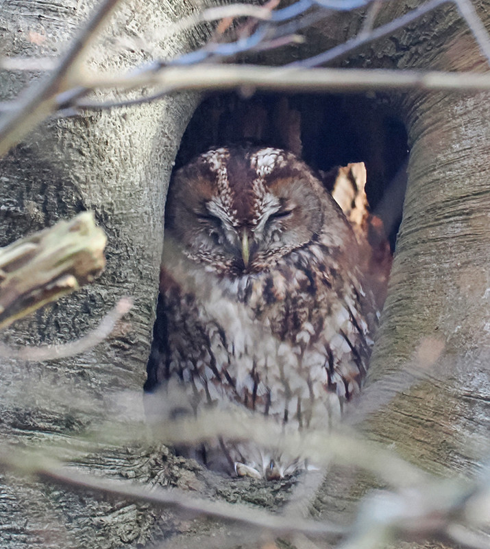 PC030008 resize — Postimages