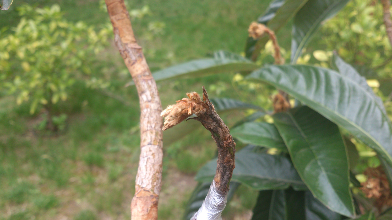 DSC 1086 — Postimages