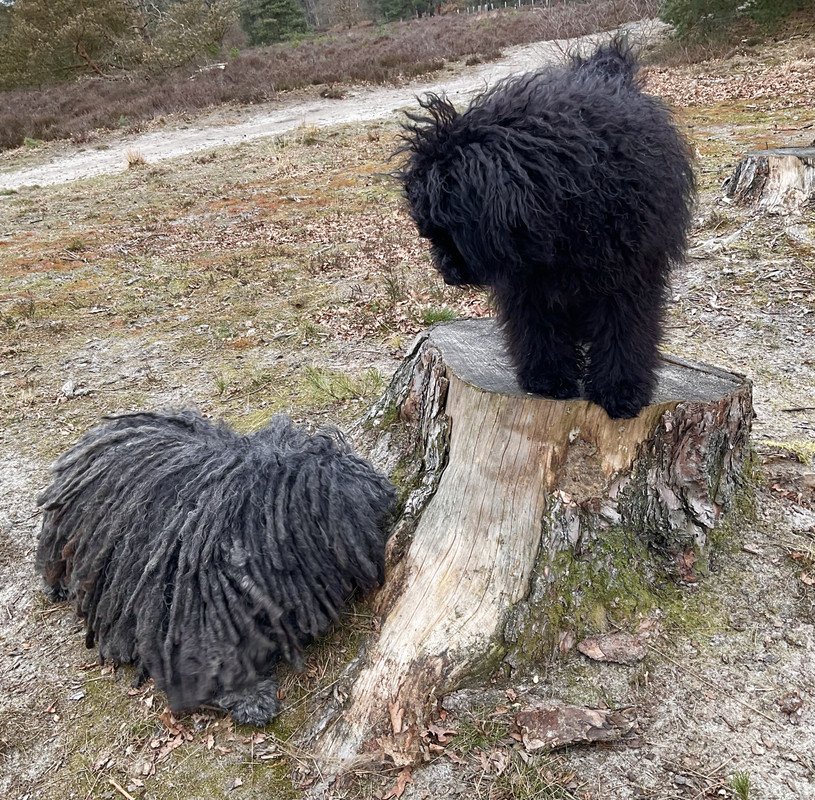 3150 C6 B7 8691 401 B 873 D 31 C667 A52 E59 — Postimages