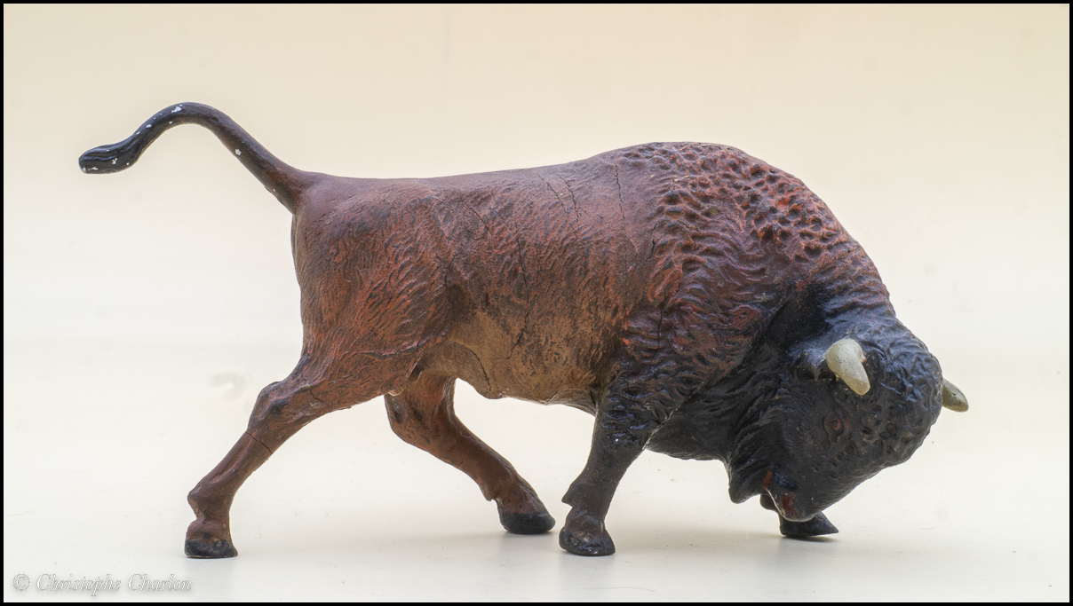 Hausser and Lineol: An American bison meeting by kikimalou