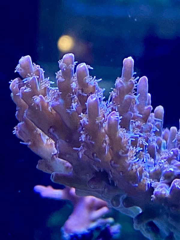 IMG 1231 — Postimages