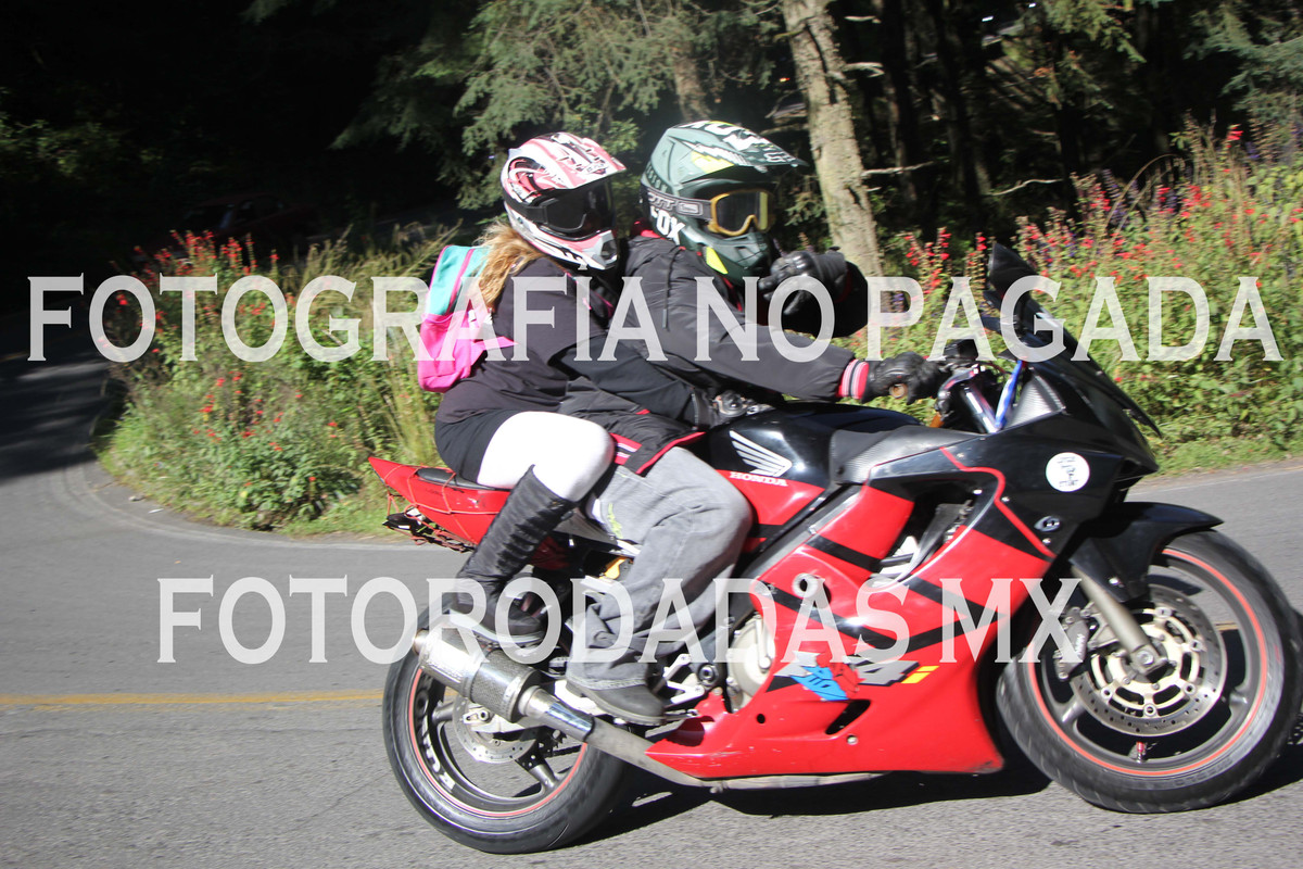 IMG 3640 — Postimages