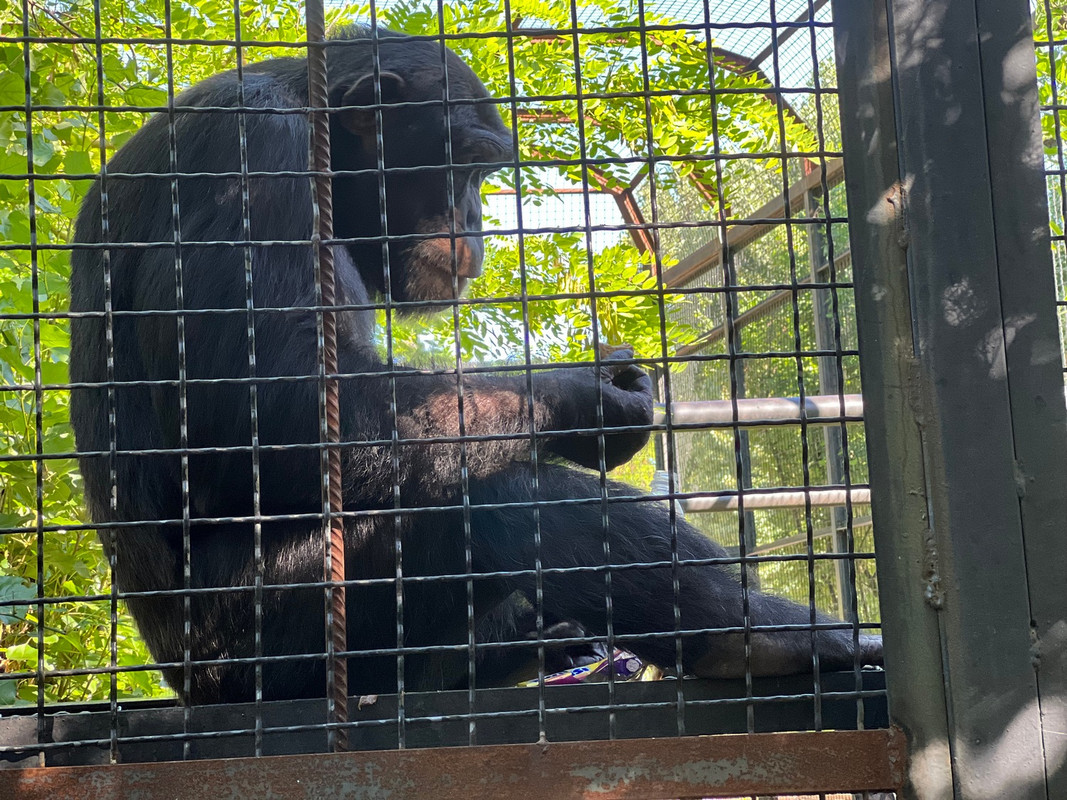 IMG 2585 — Postimages