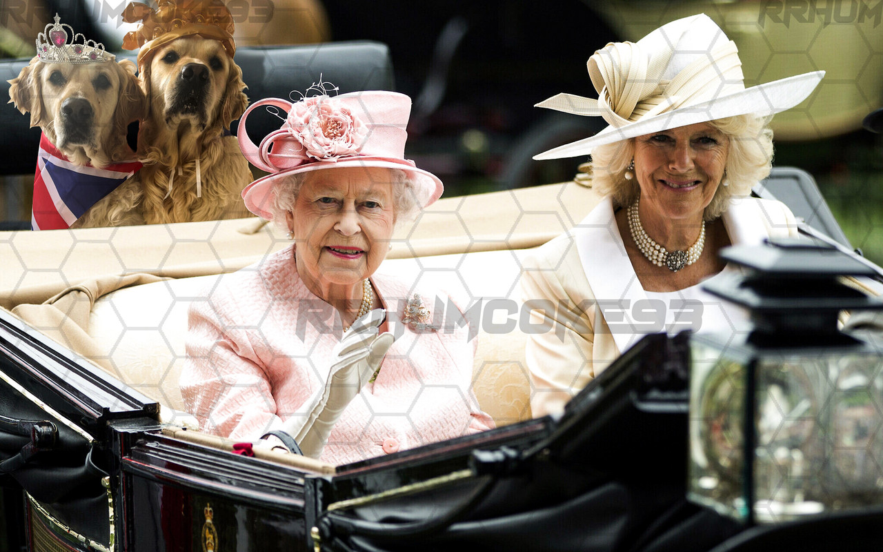 queen 2 — Postimages