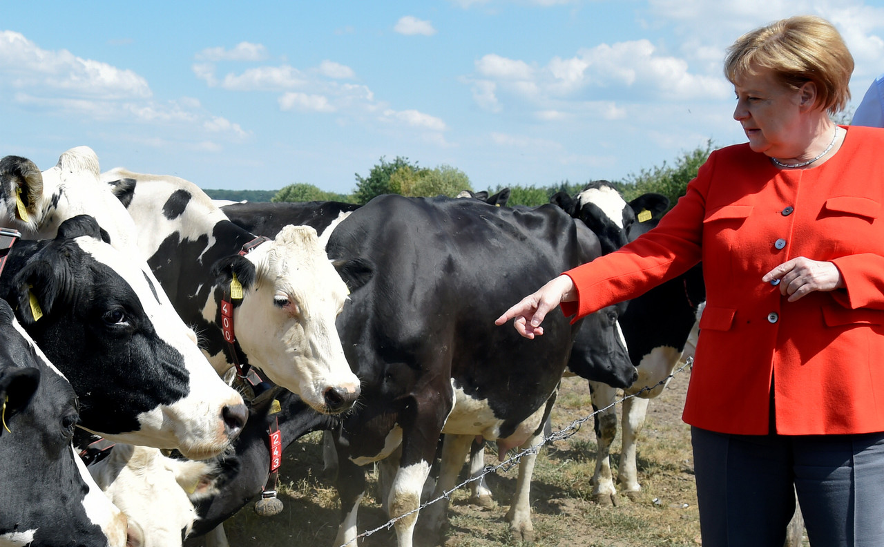 2018 07 19 T135946 Z 1491617485 RC1 C9 F726200 RTRMADP 3 GERMANY POL — Postimages