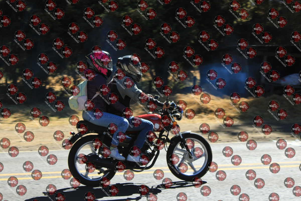 1707687580682 — Postimages