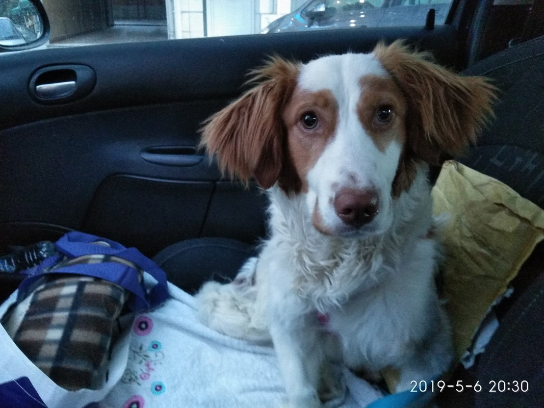 61032739 2311393988925902 1189615643599568896 o — Postimages