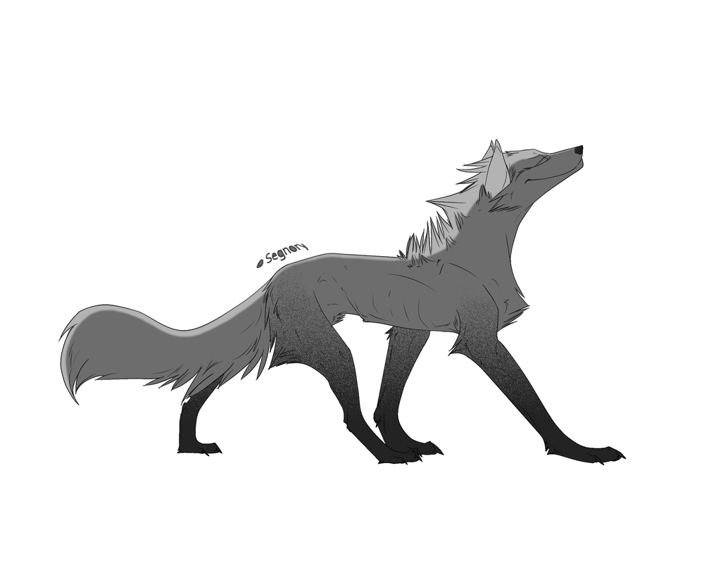 free wolf lineart 2 by segnory d4xta5n — Postimages