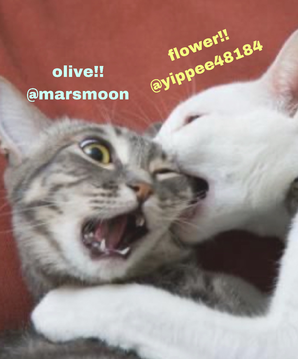 IMG 1981 — Postimages