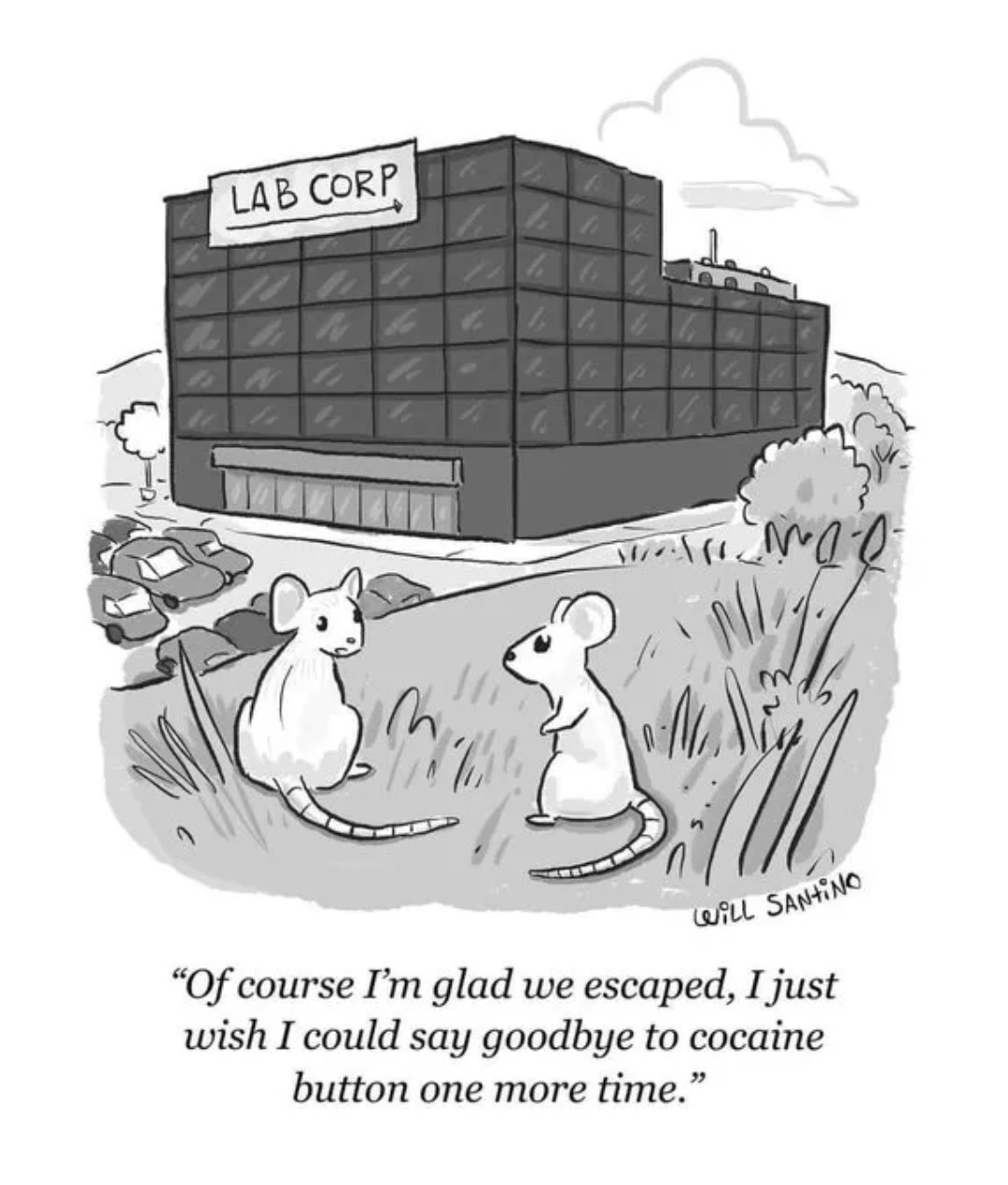 Screenshot 20240905 133001 Substack — Postimages