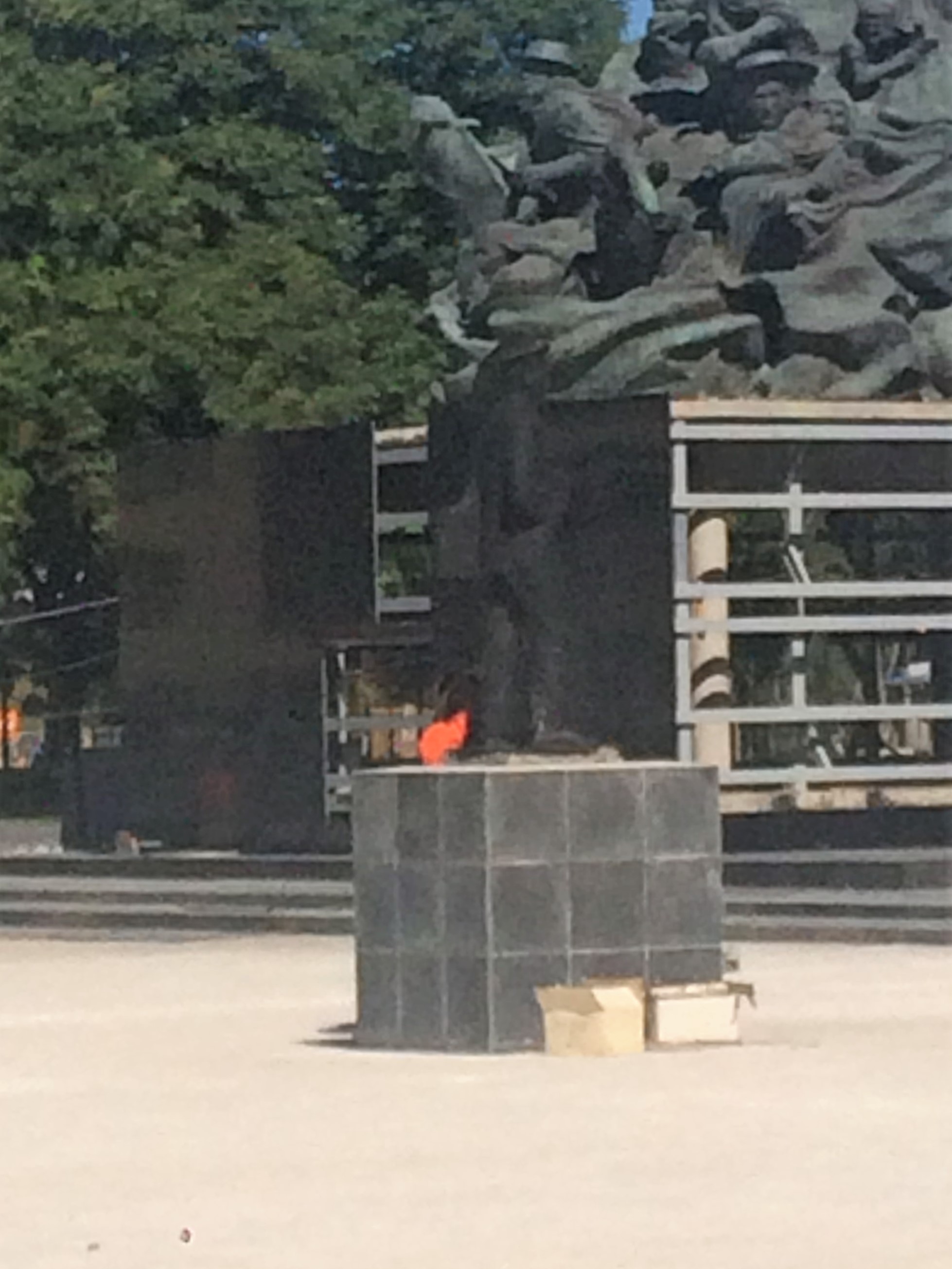 IMG 8188 — Postimages