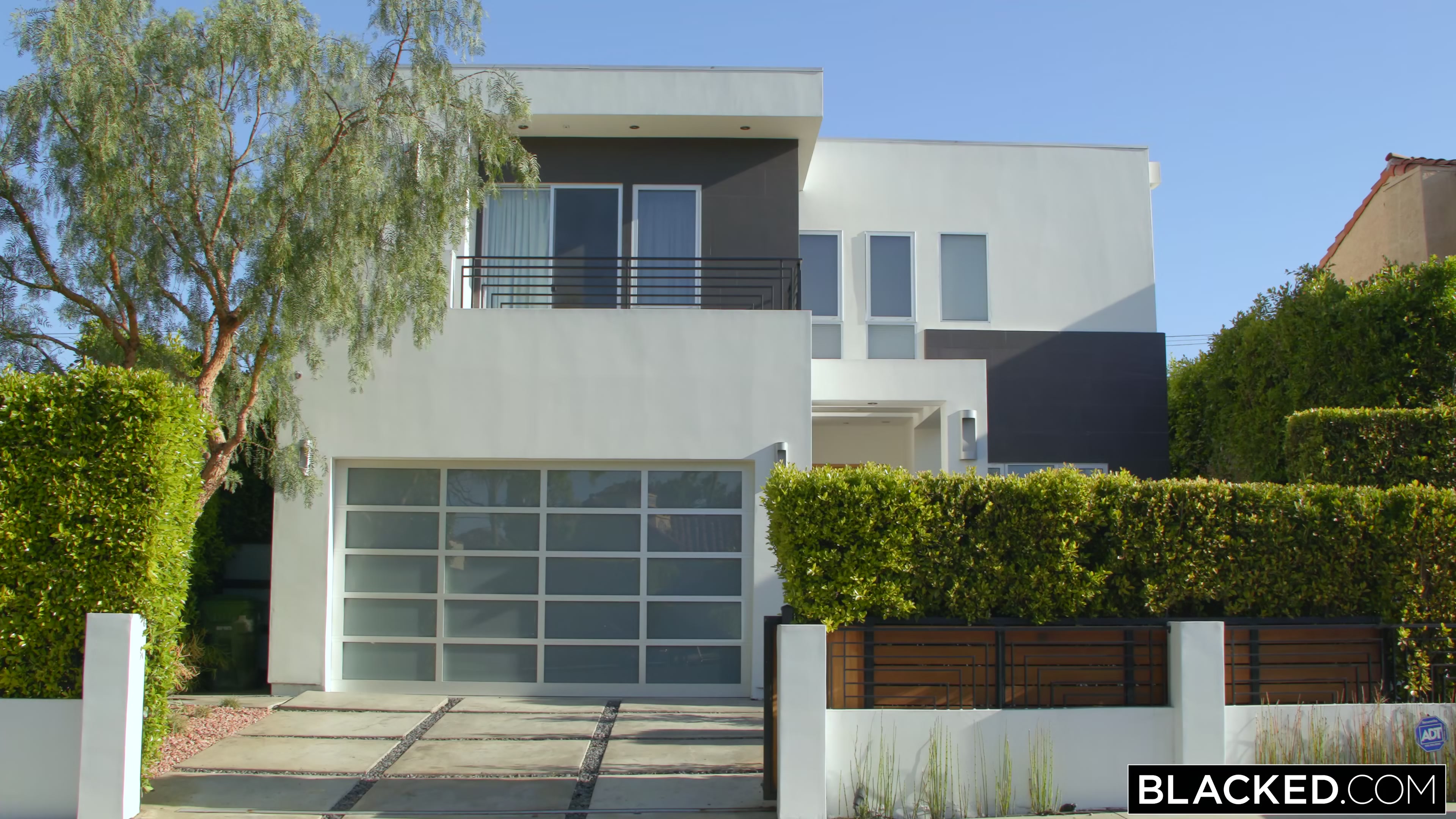 frame 0021 — Postimages