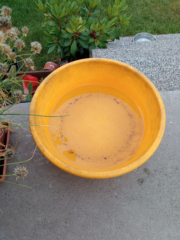 IMG 20220629 084052 — Postimages