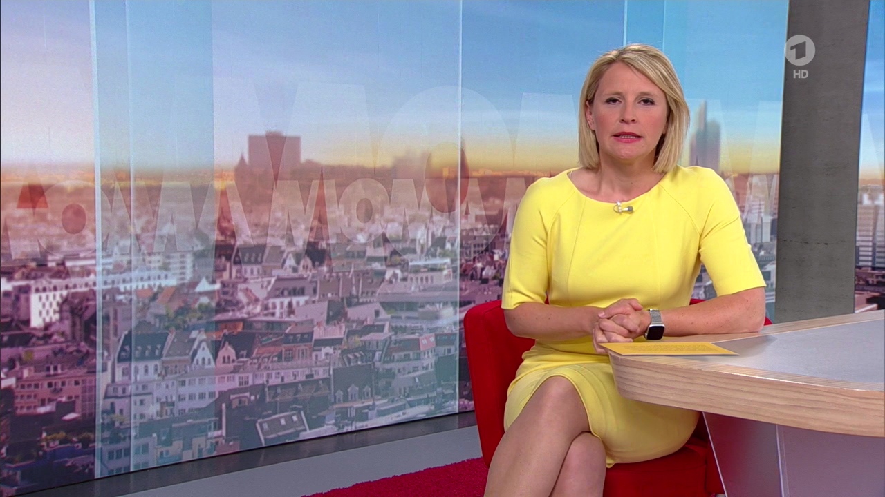 Susan Link ARD Mo Ma 27 04 2020 pp 012 — Postimages