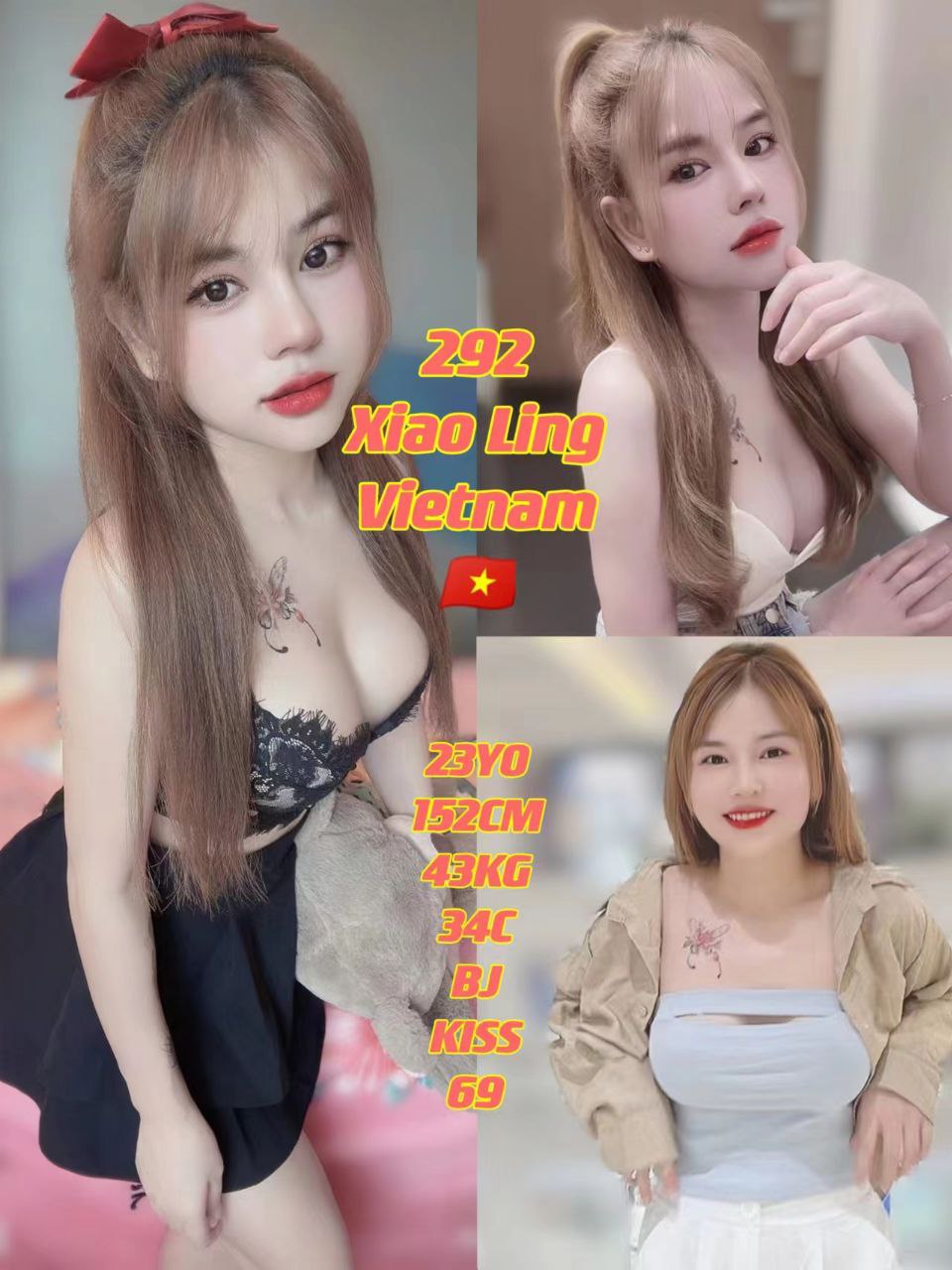 Viet 292 — Postimages