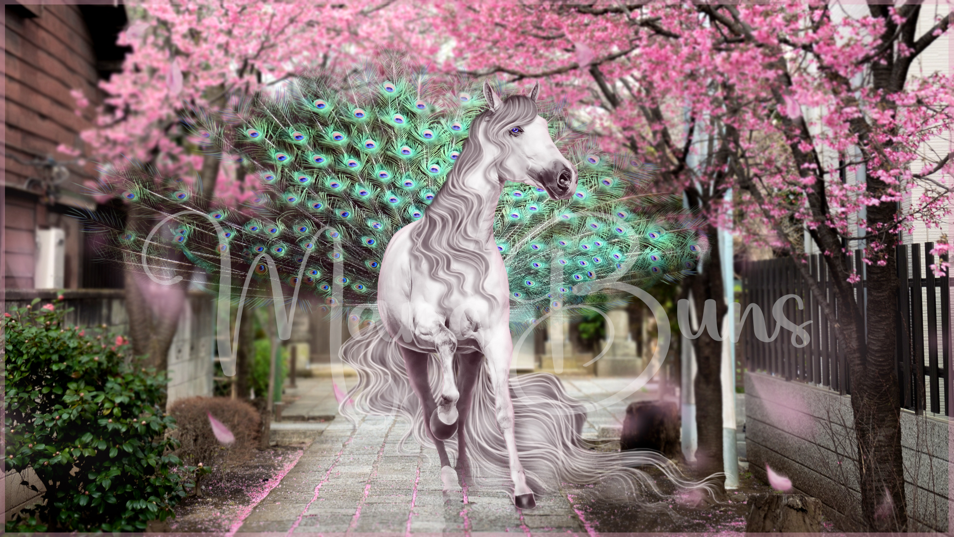 Peacock Cherry Run WIP — Postimages