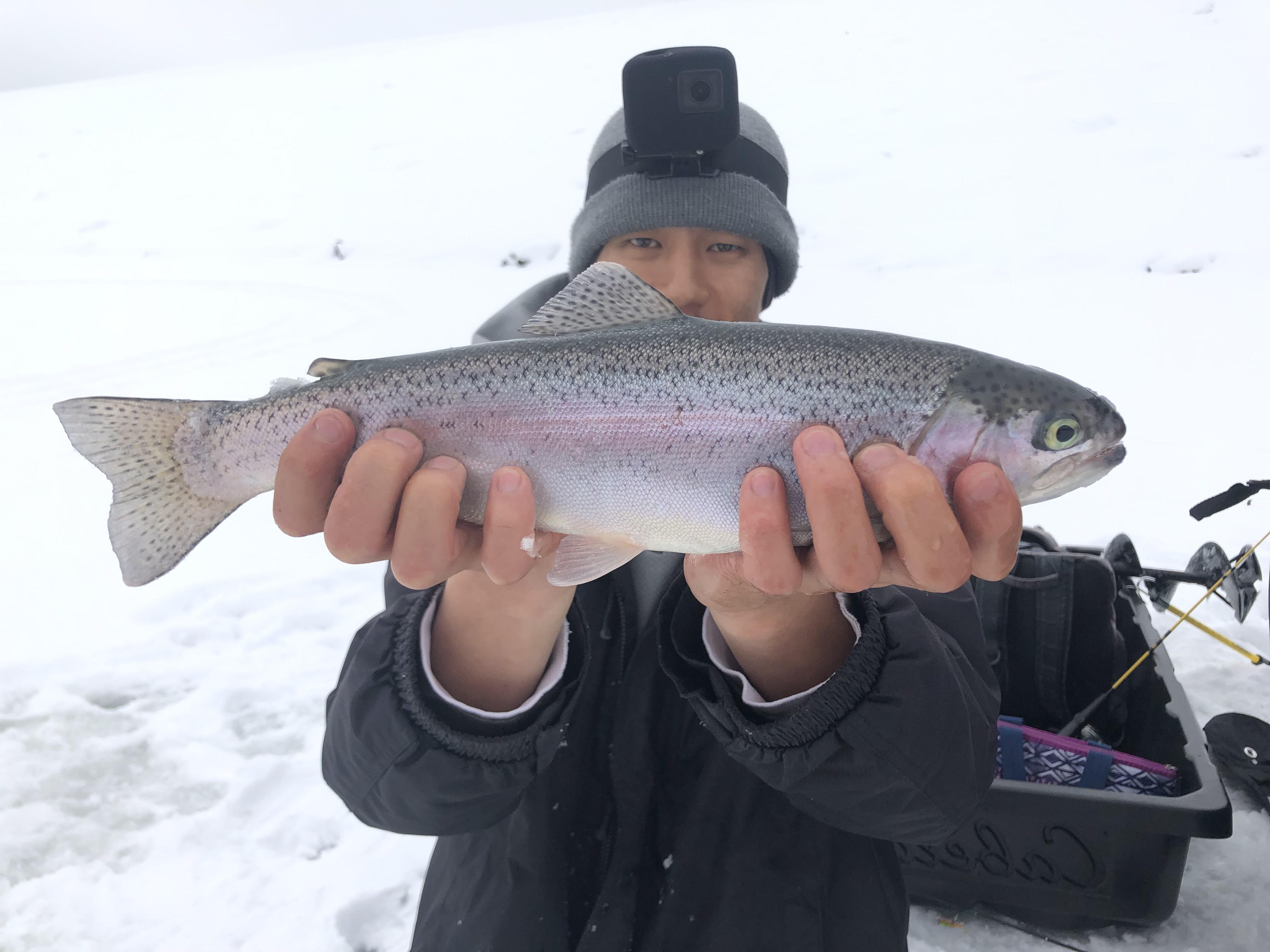 123456789 — Postimages