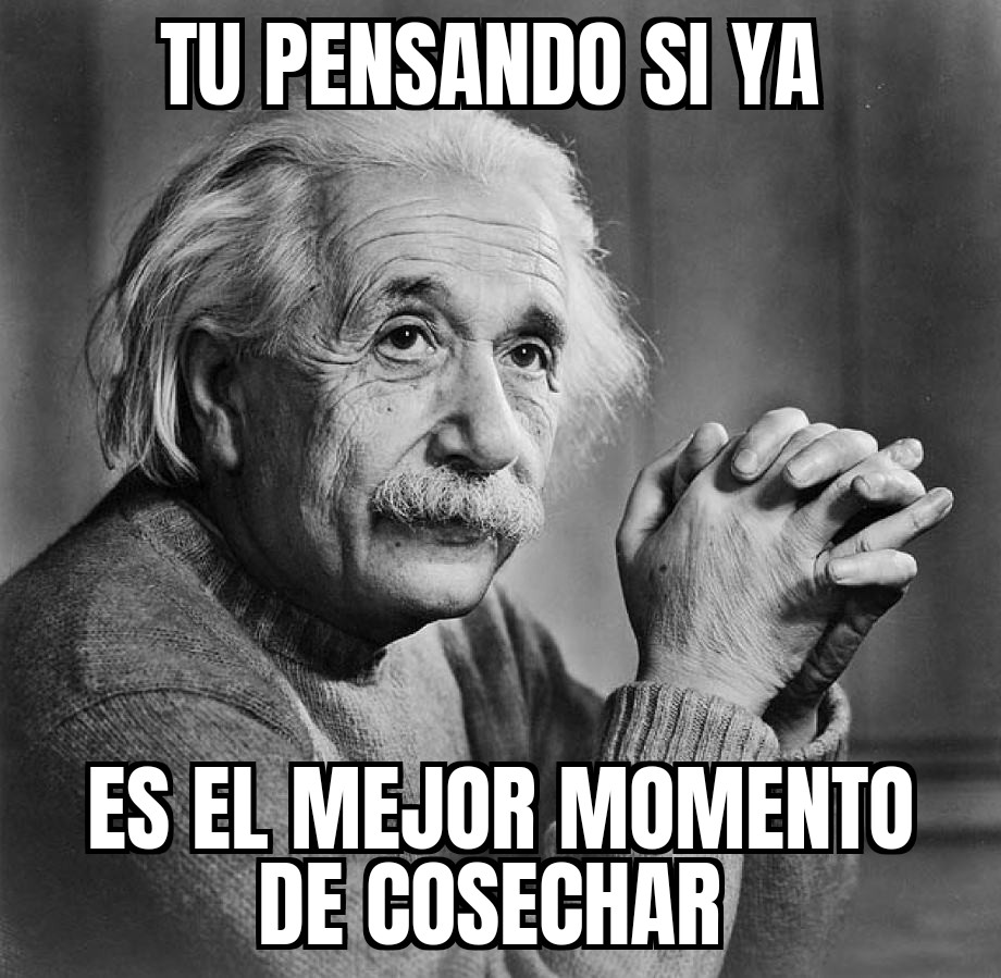 Albert Einstein 14032021183408 — Postimages