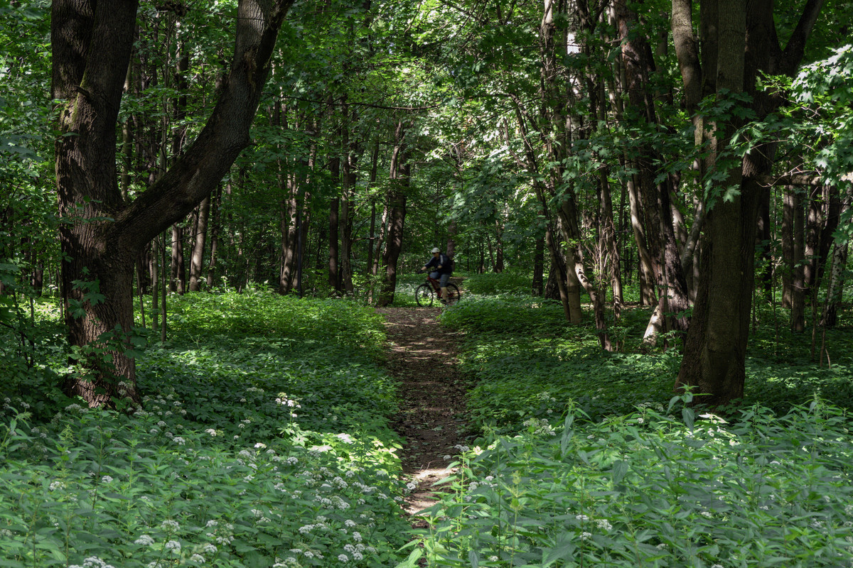 DSC04046 ed4k — Postimages