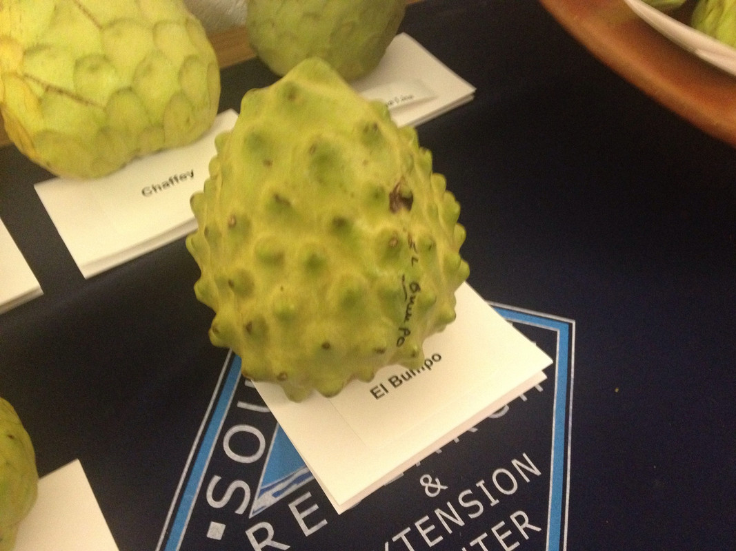 Image — Postimages