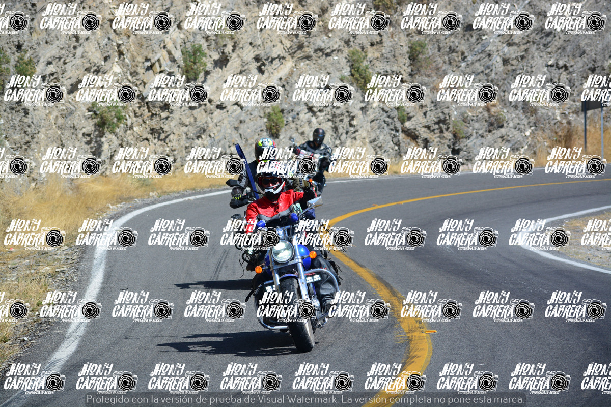 DSC 0119 — Postimages