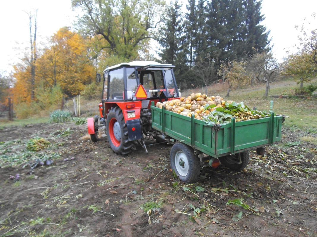 DSCF4175 — Postimages