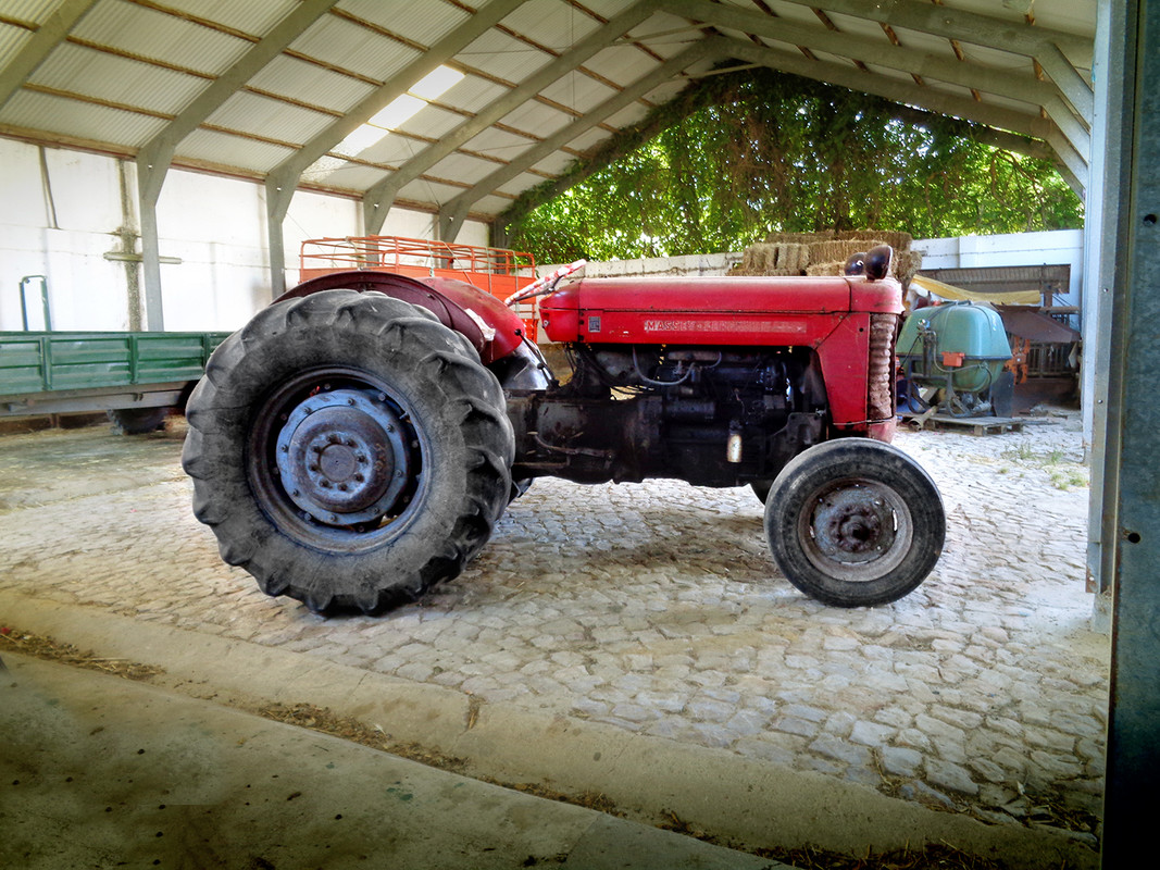 MASSEY FERGUSON SET2006 3 — Postimages