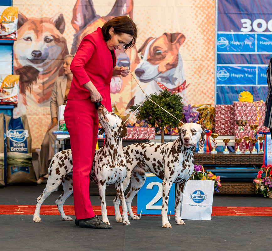 01 3632 — Postimages