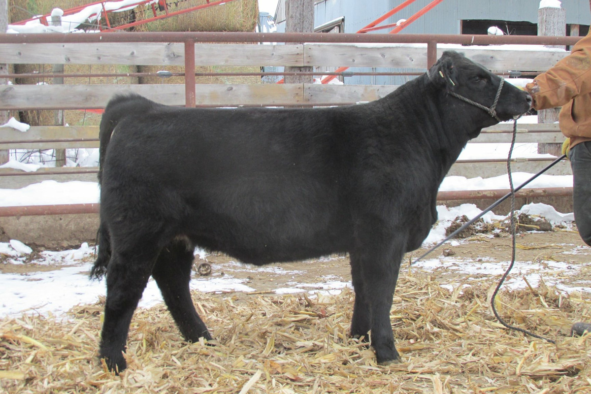 3 CA5 ECA1 2 AF7 4 A68 8 A28 98706397 EC04 — Postimages