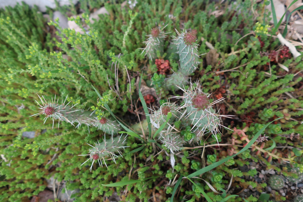 IMG 0813 — Postimages