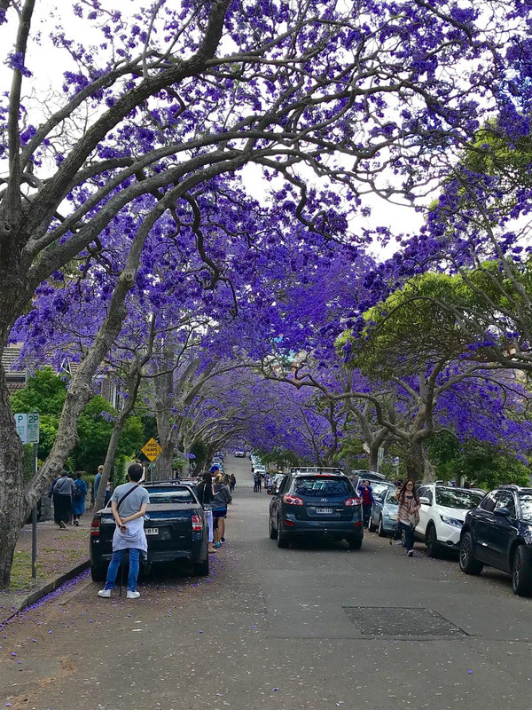 IMG 5418 — Postimages