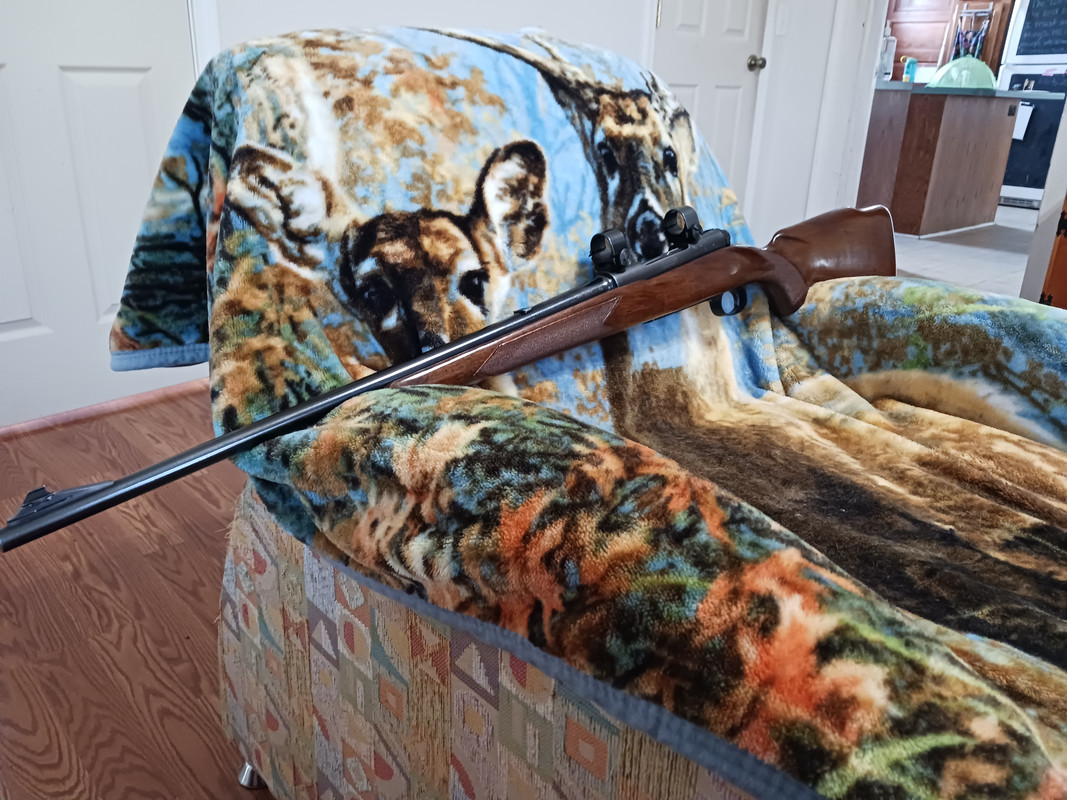 20240609 124450 — Postimages