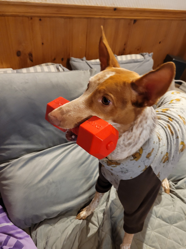 20220222 180712 — Postimages