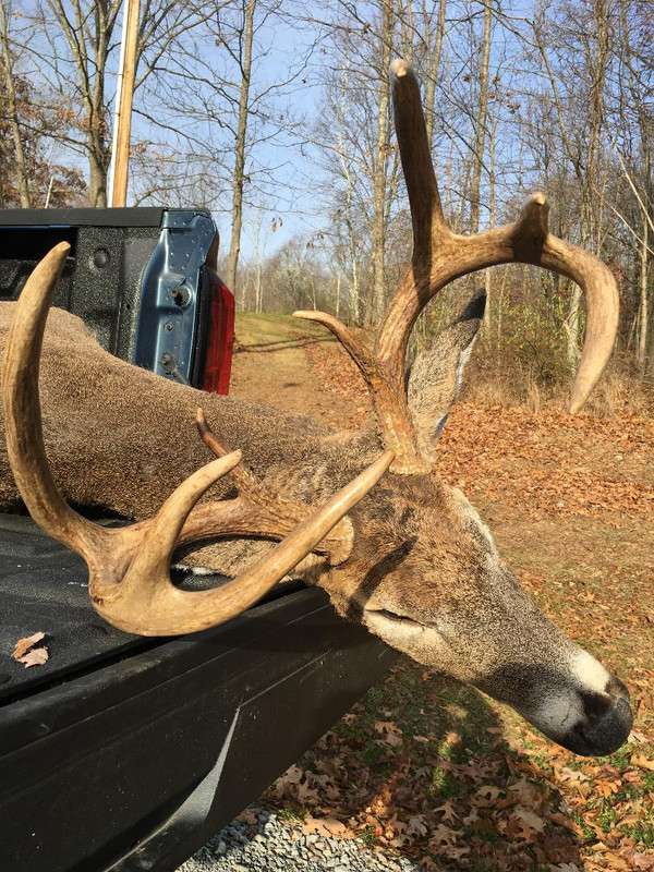 What's for dinner tonight? - 24hourcampfire