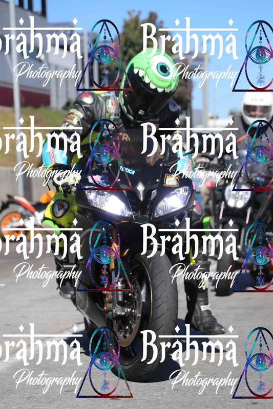 IMG 2137 — Postimages