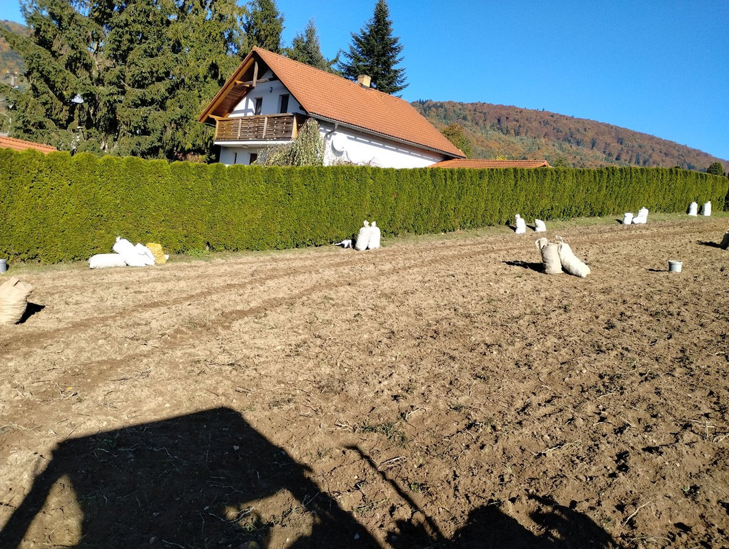 IMG 20251020 142159791 — Postimages