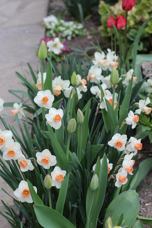 IMG 2139 — Postimages