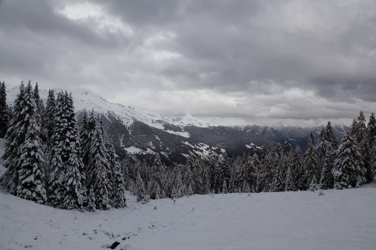 IMG 3214 Original — Postimages