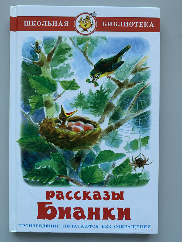 55400 B14 2 Ada 4147 8 E0 A 661 Ef9 Cf39 Bb — Postimages