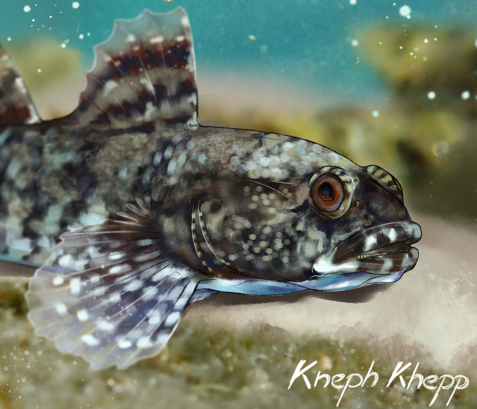 goby — Postimages