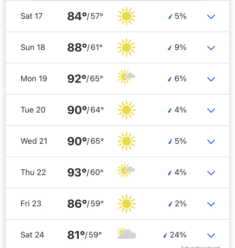 Can I wait after aeration to reseed? | Lawn Care Forum