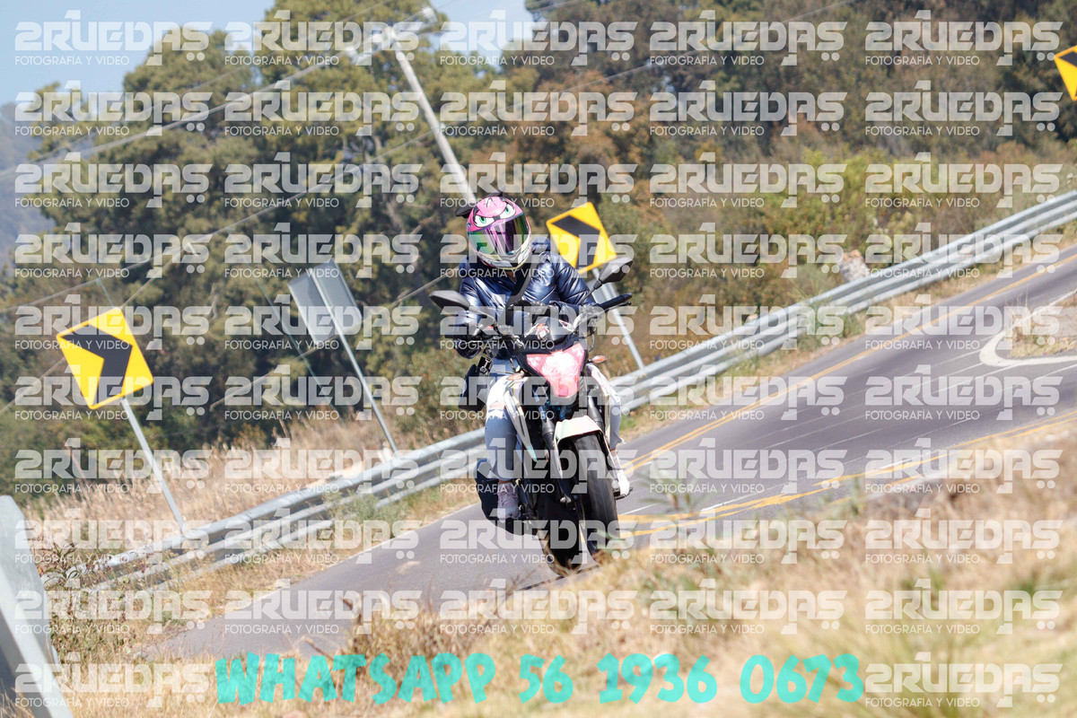 MG 0461 — Postimages