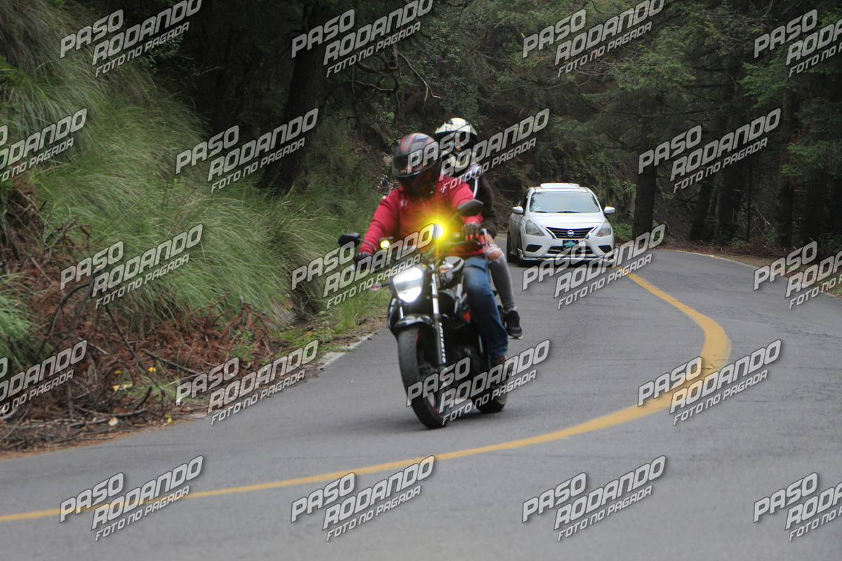 IMG 3428 wm 2419672 9 watermarked — Postimages