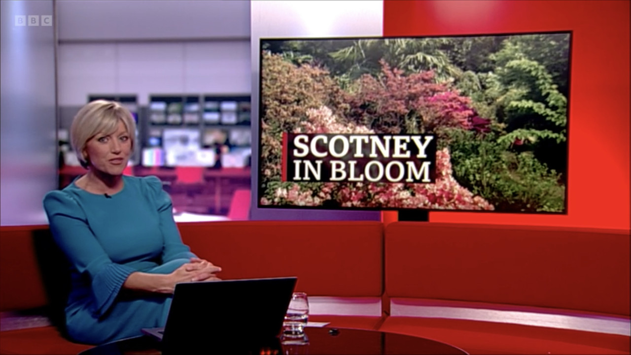 IMG 0342 — Postimages