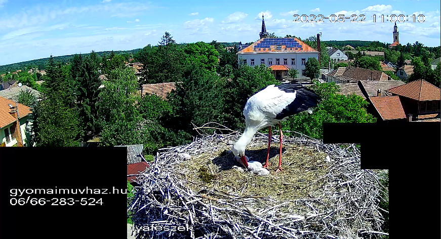 2022 05 22 110015 — Postimages