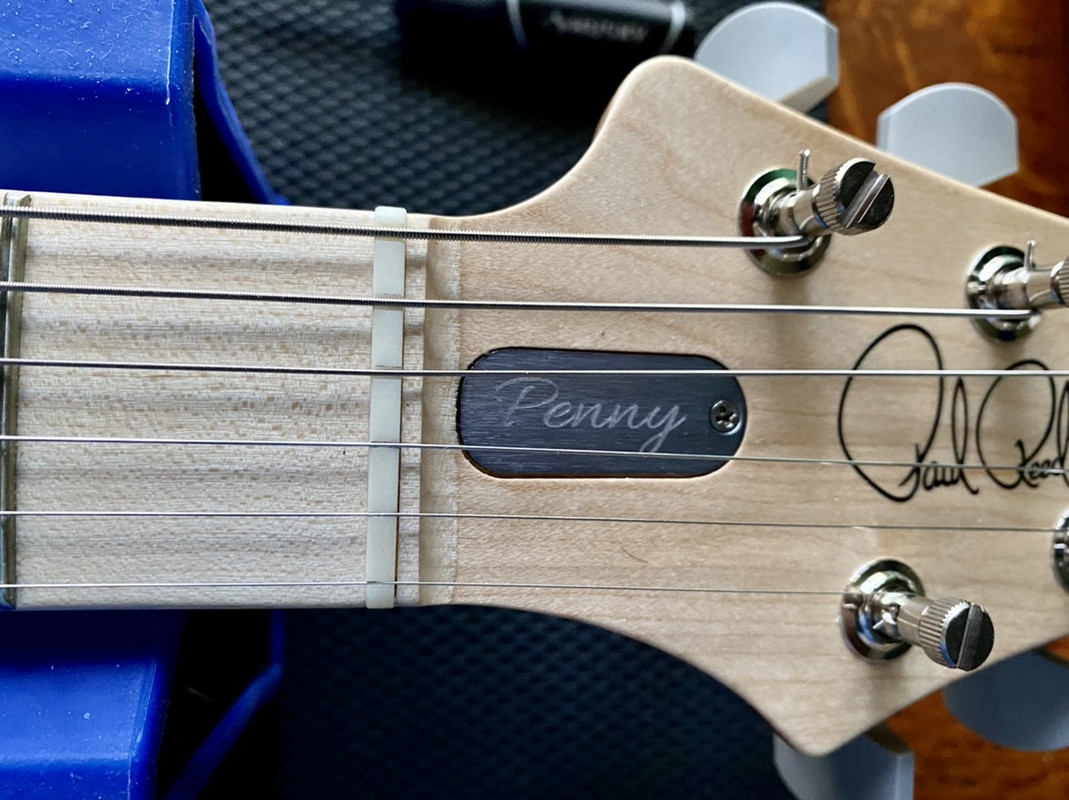 SHOW US YOUR SILVER SKY MODS!!!! | Official PRS Guitars Forum